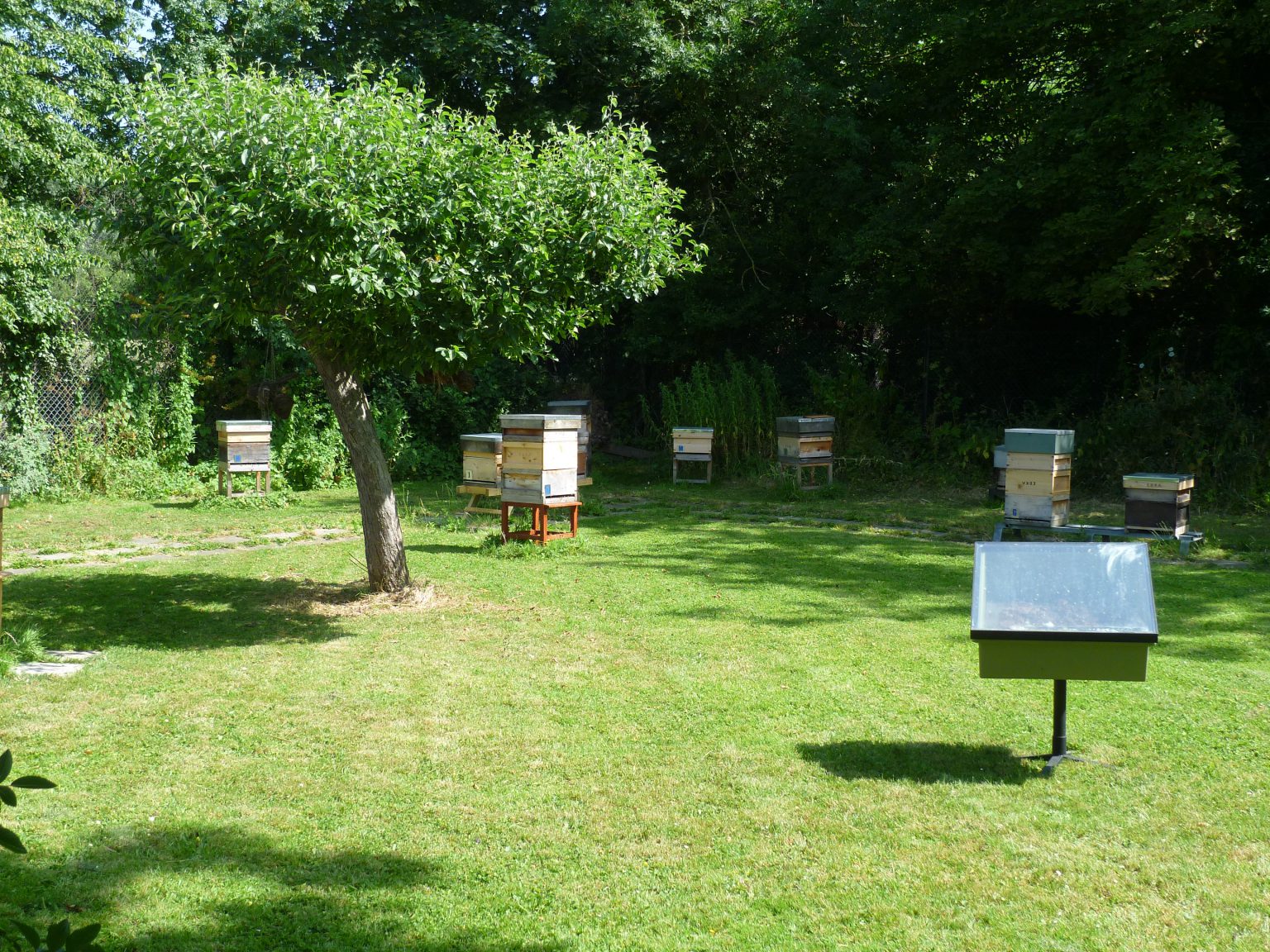 Apiary Location – Epsom Beekeepers Association