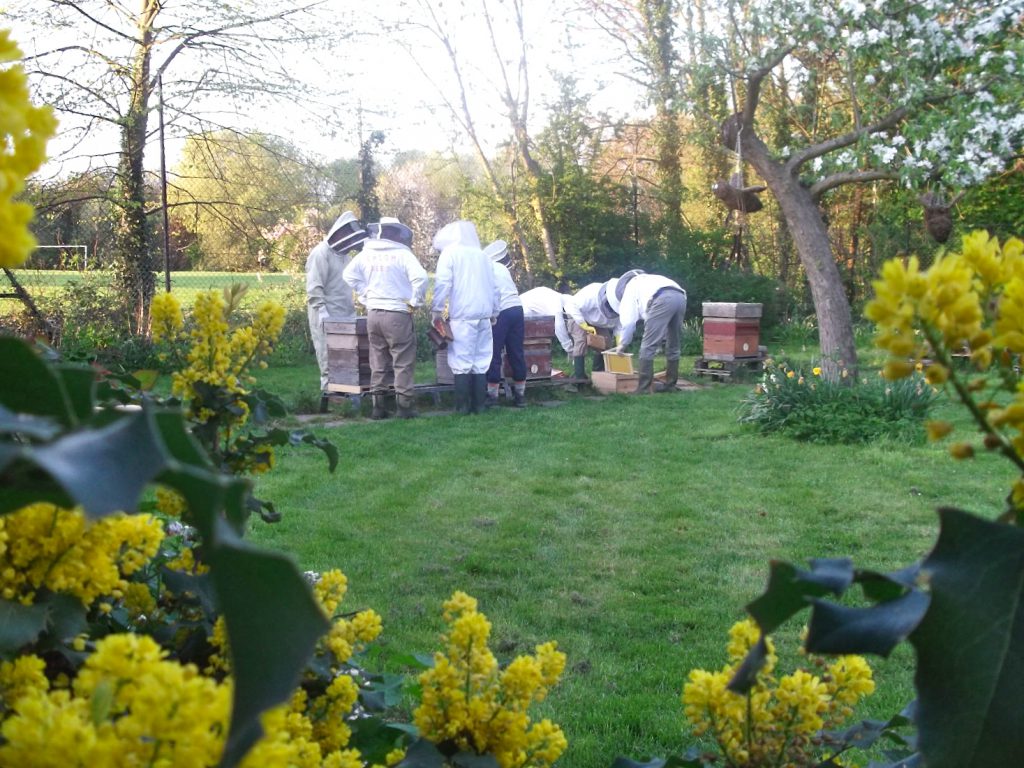 Epsom Beekeepers Association – Epsom Beekeepers Association