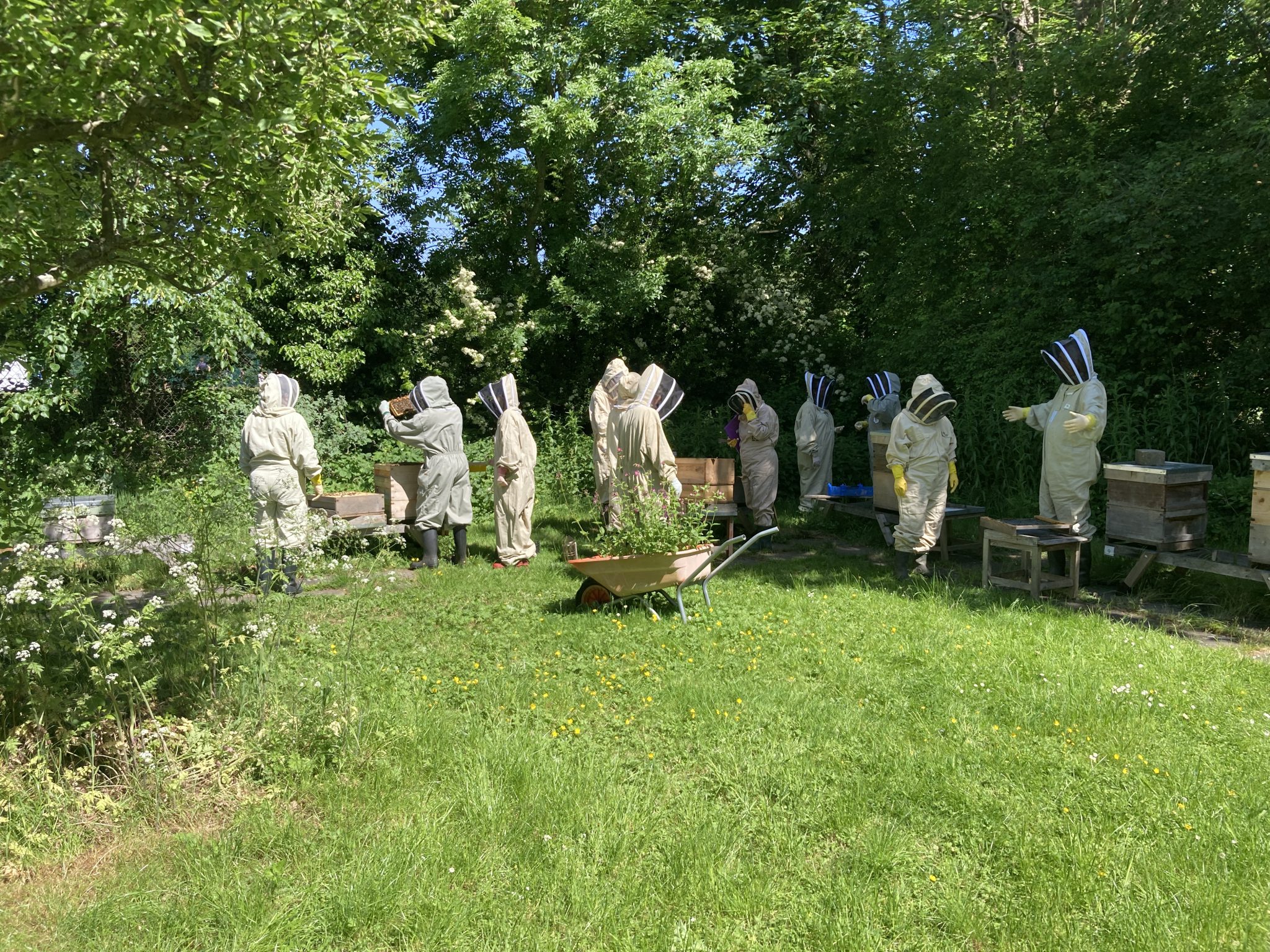 Epsom Beekeepers Association – Epsom Beekeepers Association